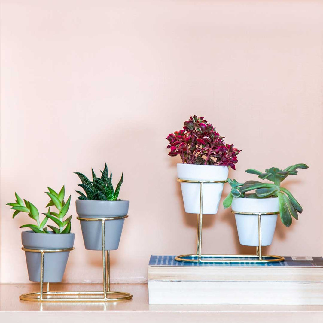 Twin Pot Planter – ISAAKA