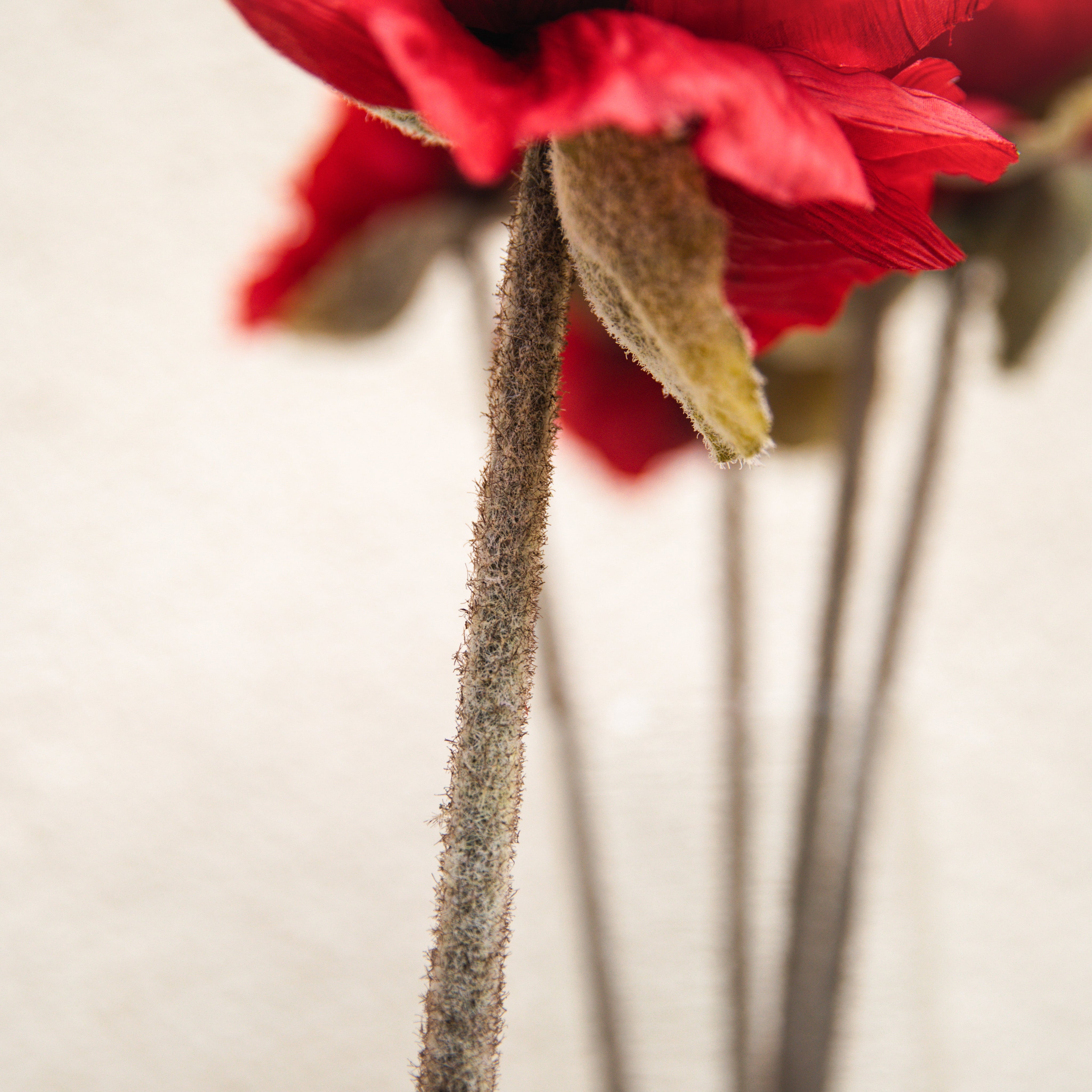 Artificial Flower: Red Poppy – ISAAKA