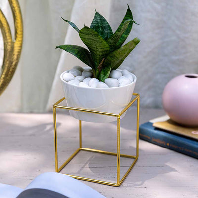 White Gold Planter with Stand – ISAAKA